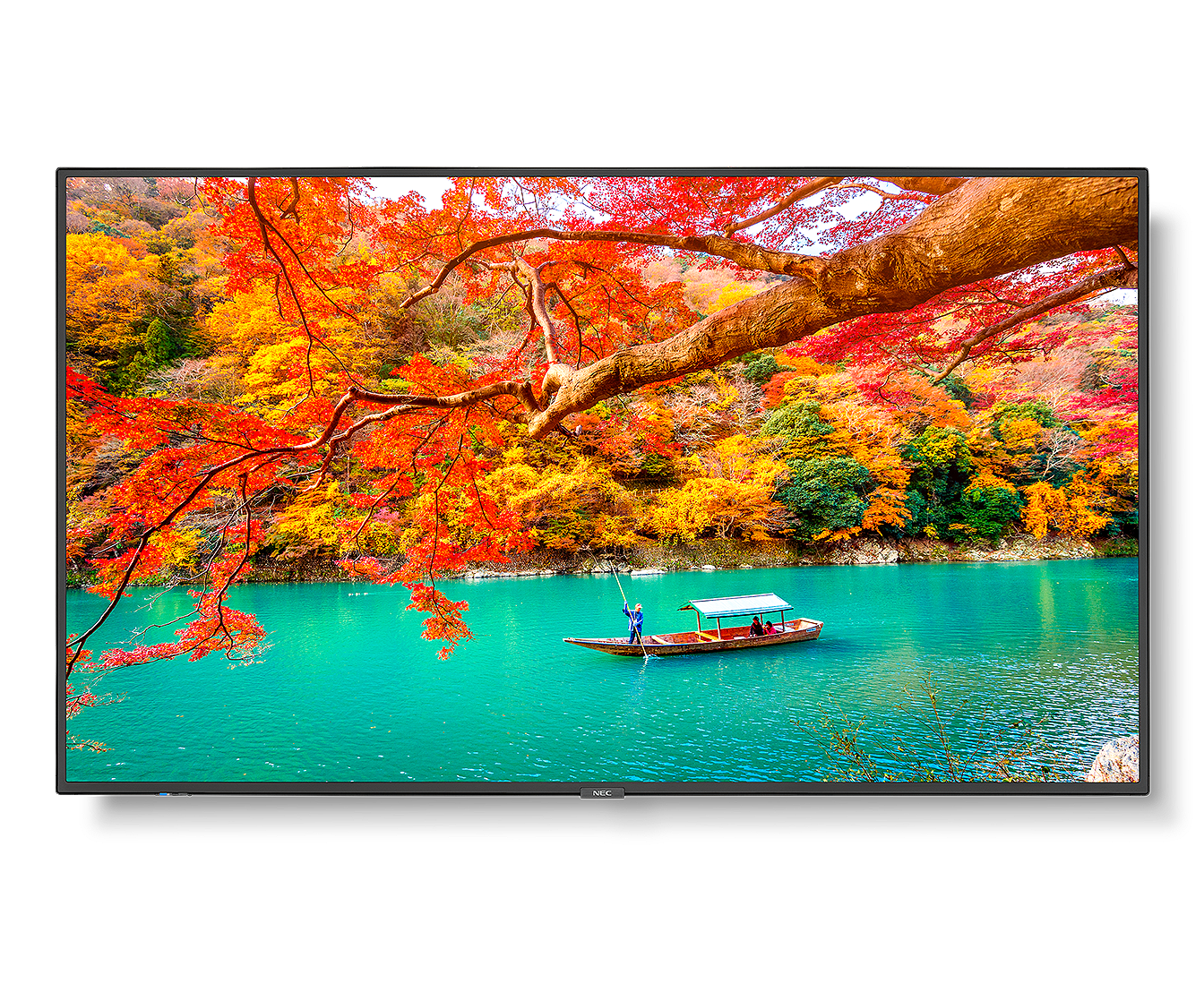 M981 98 Inch Professional Large Format Display