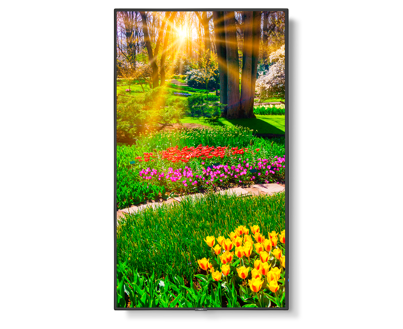 M501-2 50 Inch Professional Large Format Display