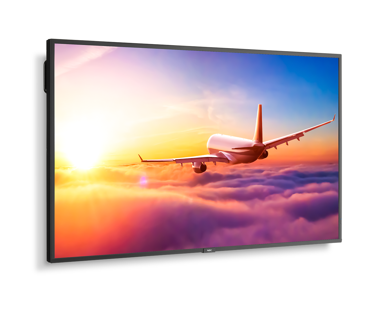 P495 | 49in 4K UHD Professional Display for Business and Signage