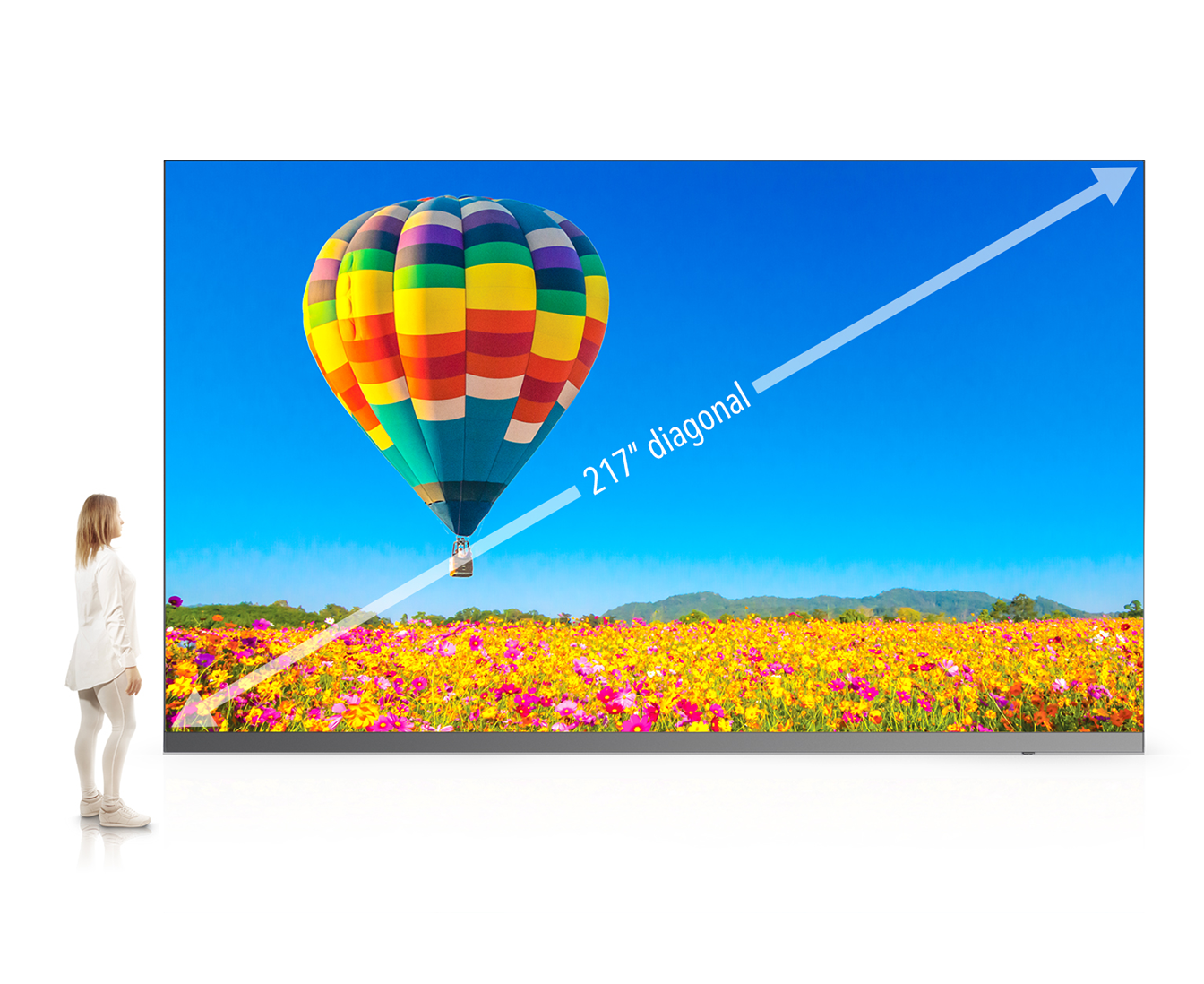 Sharp 217-inch FHD Direct View LED Screen (LED-E025I-217)